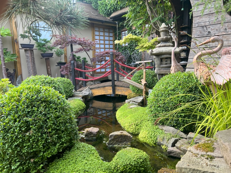 Japanese Garden Bristol Bristol NGS Gardens